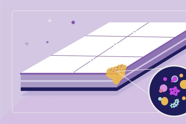 How To Prevent And Remove Mold On My Mattress