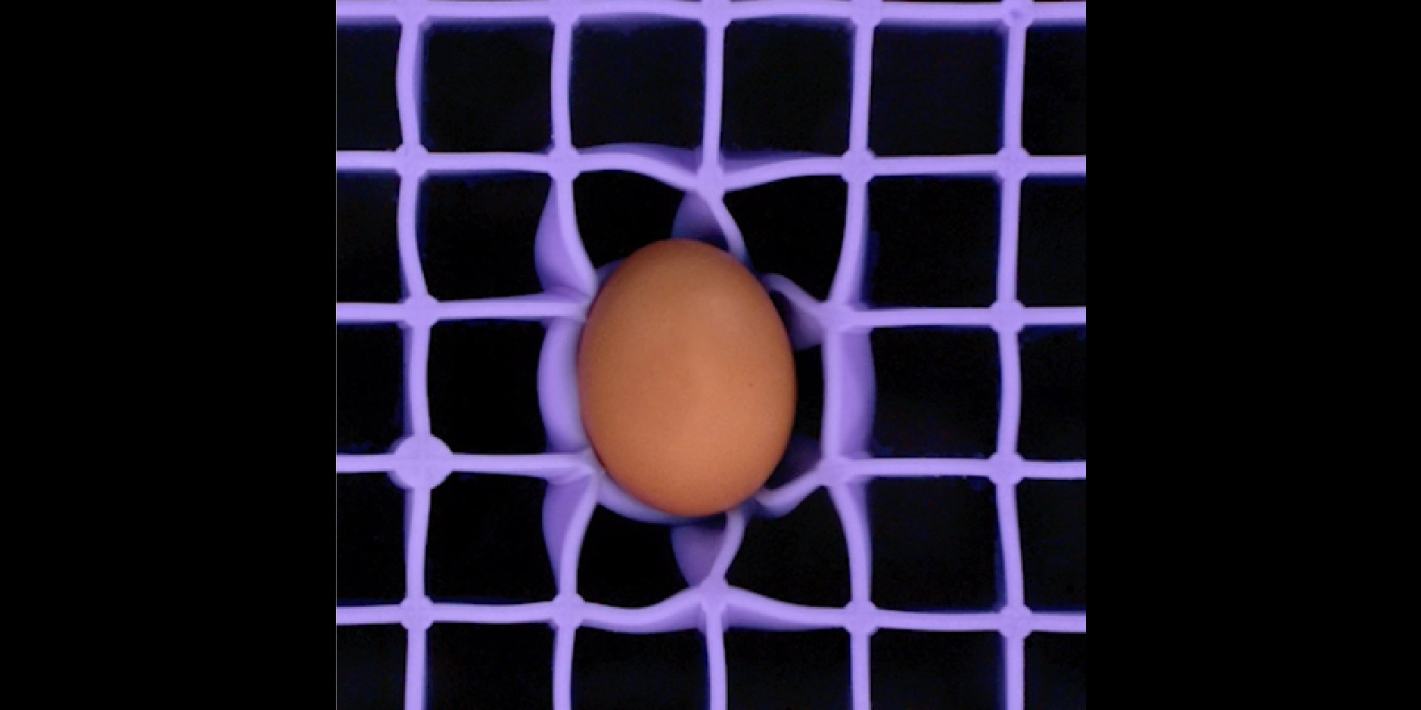 See Purple Egg Hunt Rules
