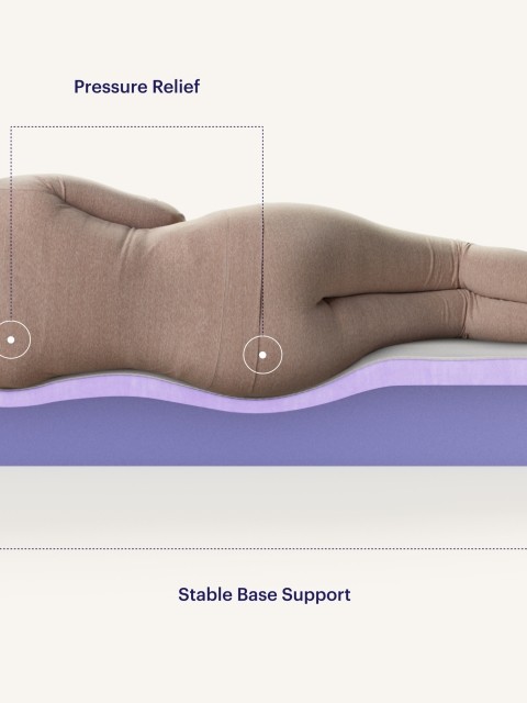 Shop PurpleFlex Mattress | Purple